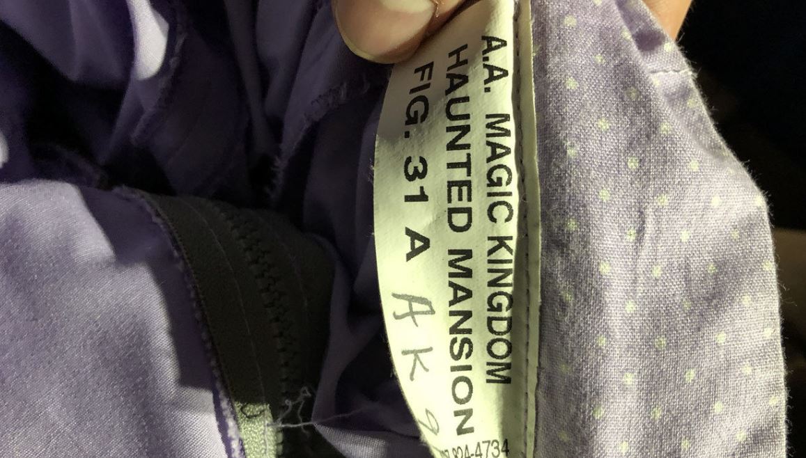 Photos Show Costumes and Other Items Stolen from Walt Disney World