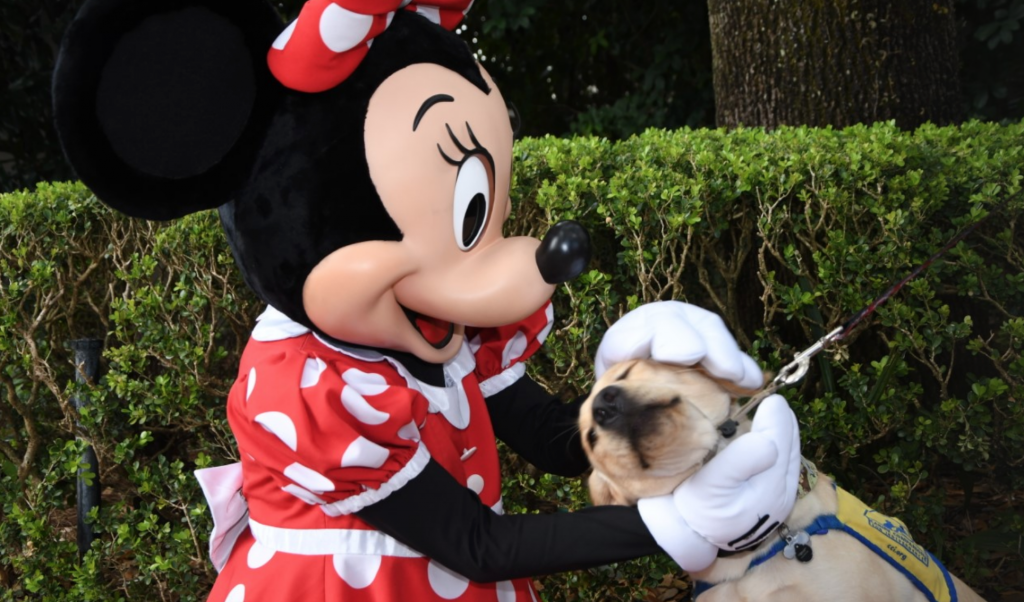 Canine Companions Service Dog in Training Has Magical Day at Epcot