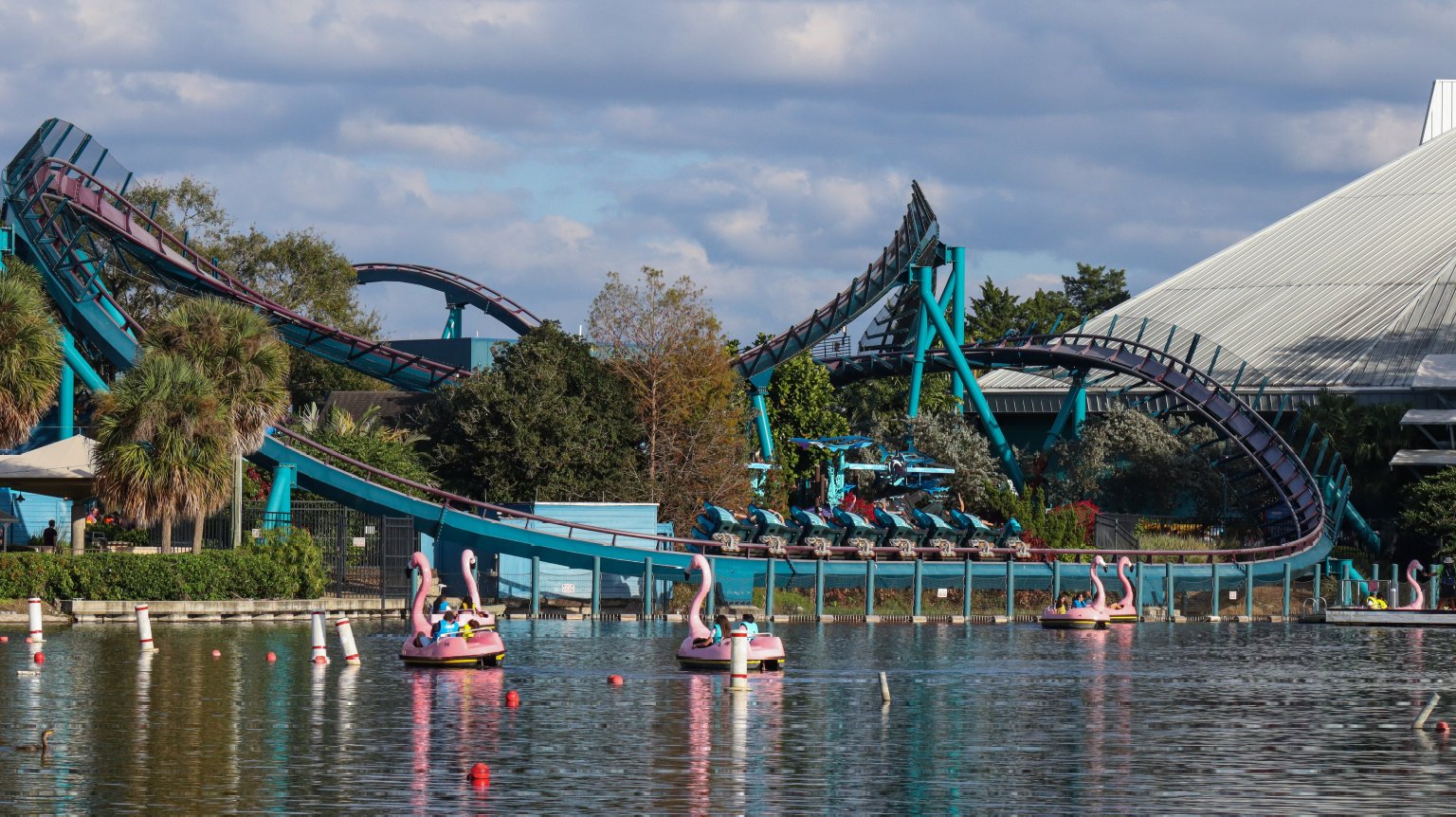 PHOTOS: Mako at SeaWorld Orlando