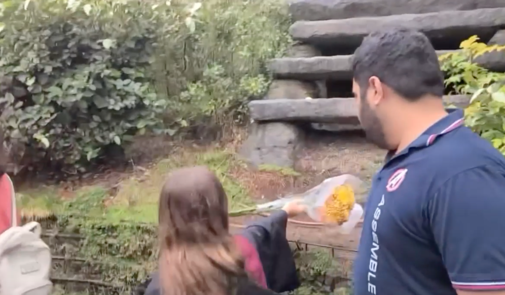 Girl Lays Flowers in Front of Hagrid’s Hut in Queue of Hagrid’s Magical ...