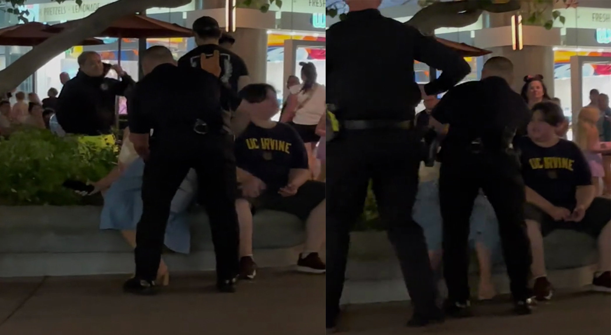 WATCH: Guest Struggles With Police at Disneyland Resort