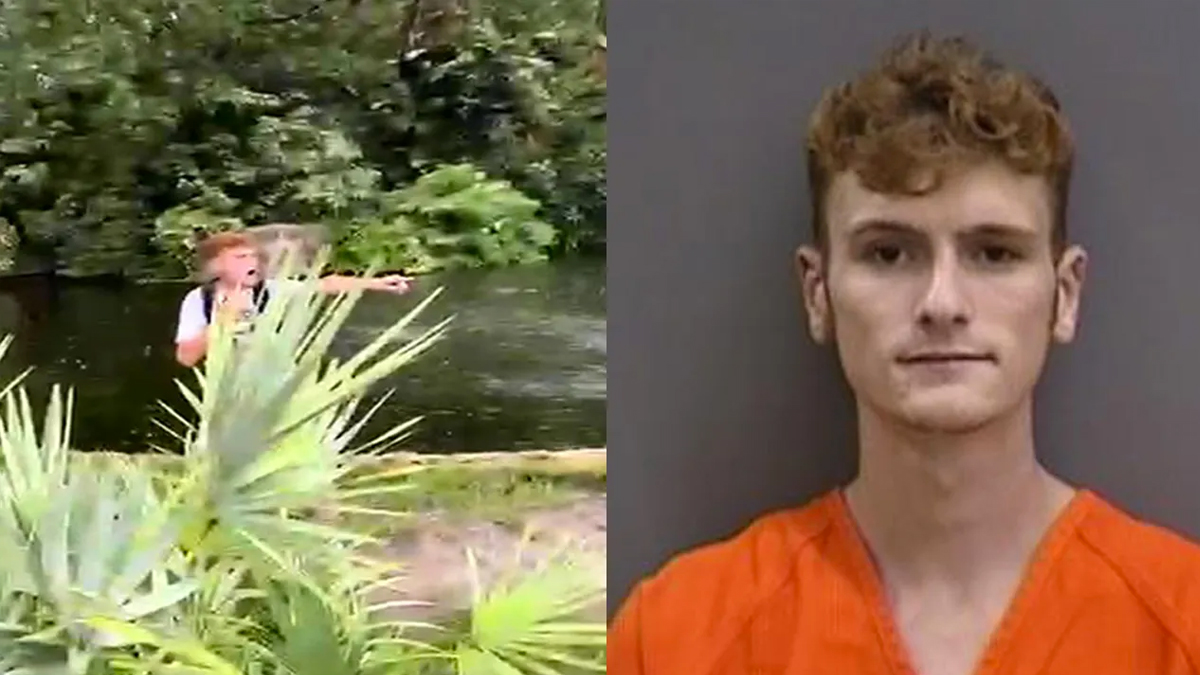 Man Who Jumped Into Alligator Exhibit at Busch Gardens Tampa Bay Enters ...