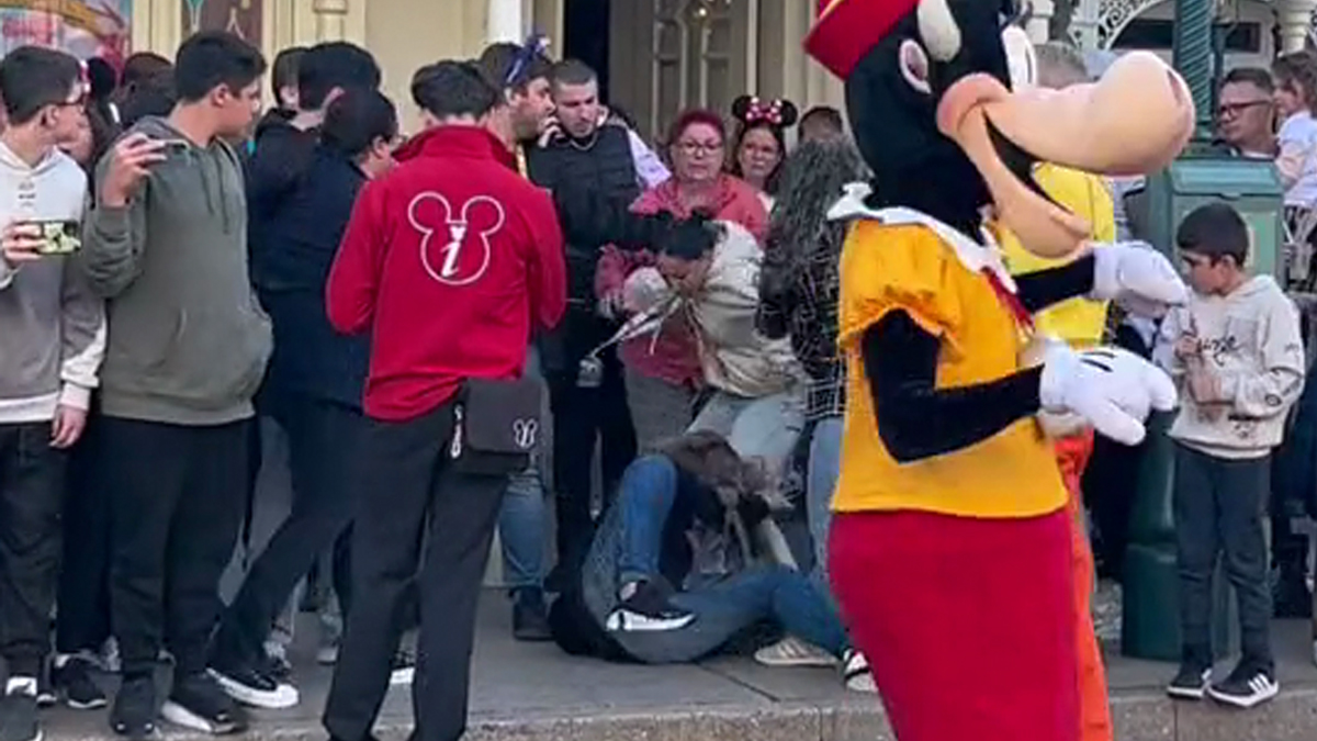 Fight at Disneyland Paris Caught on Camera