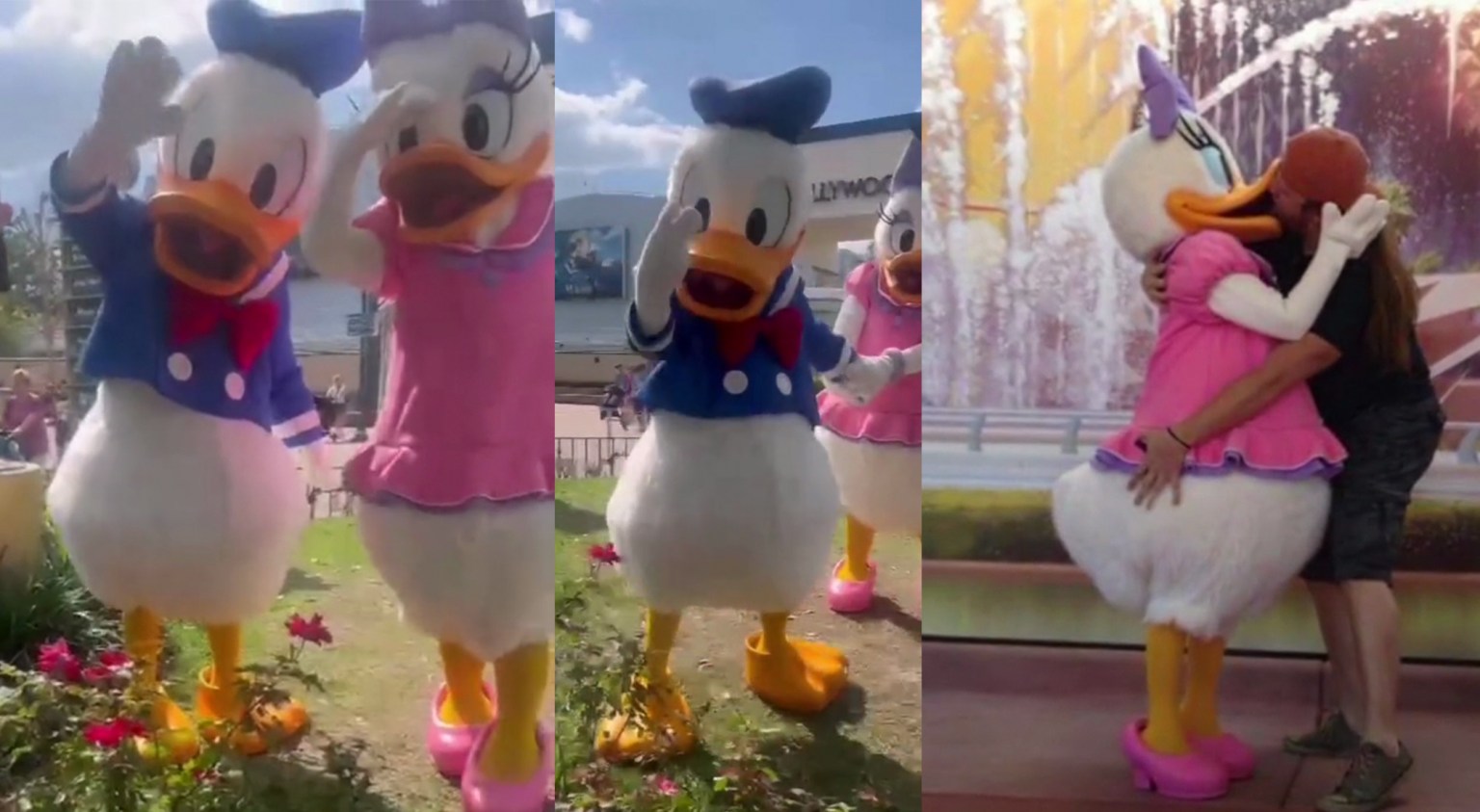 WATCH: Hilarious Interaction Between Donald Duck and Guest at Disney’s ...