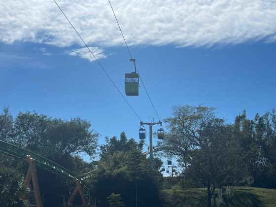 Skyride at Busch Gardens Tampa Bay Spotted Testing