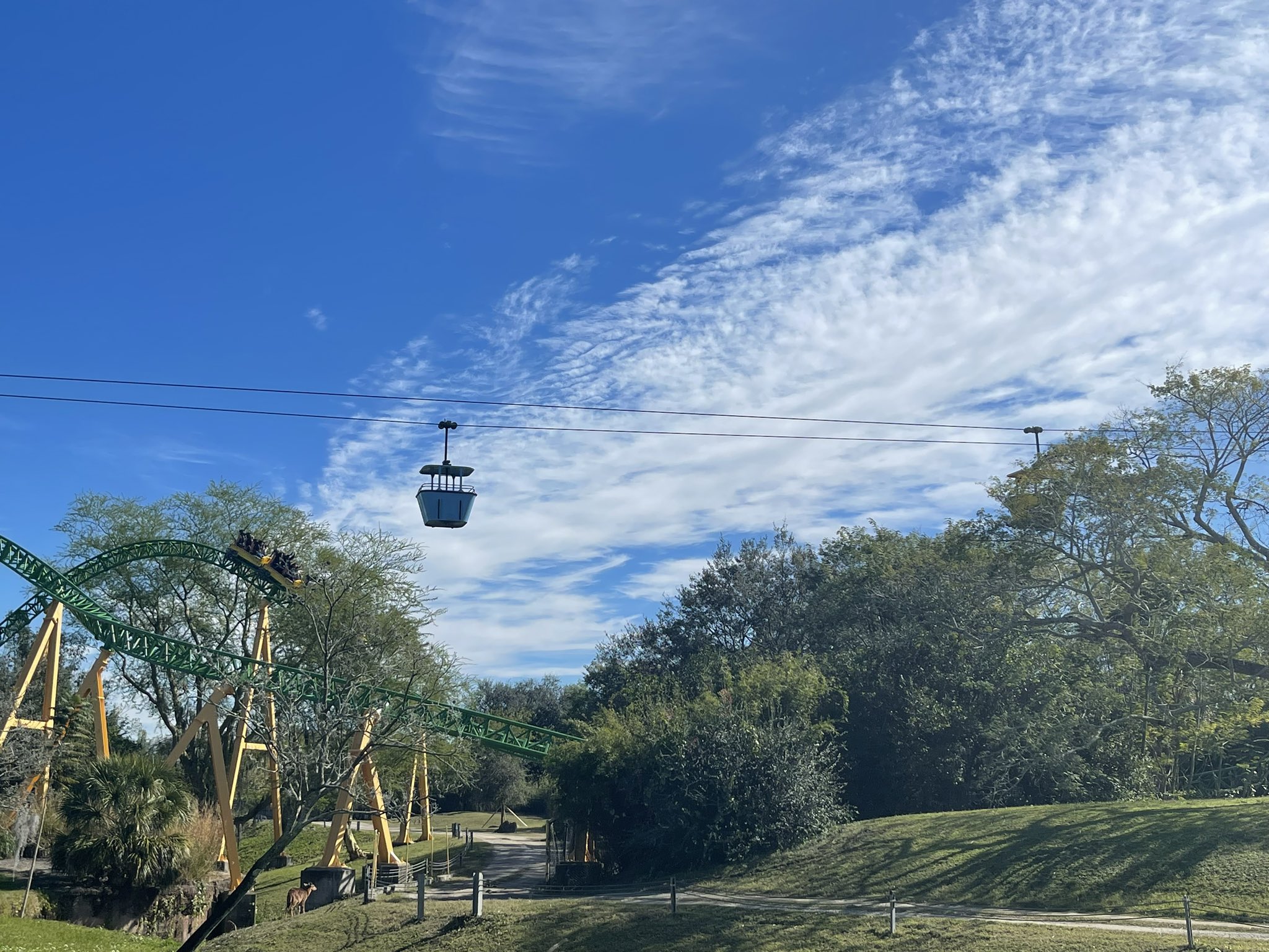 Skyride at Busch Gardens Tampa Bay Spotted Testing