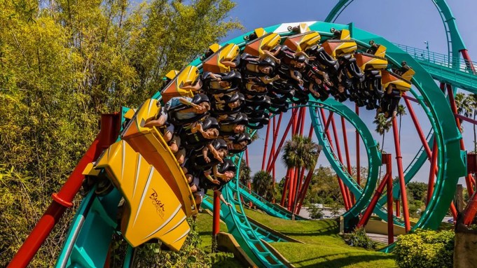 Kumba at Busch Gardens Tampa Bay Reopening This Weekend