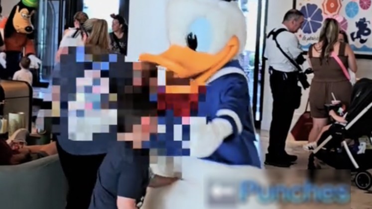 WATCH: Child Punch Donald Duck Character in Stomach at Disney's Riviera ...