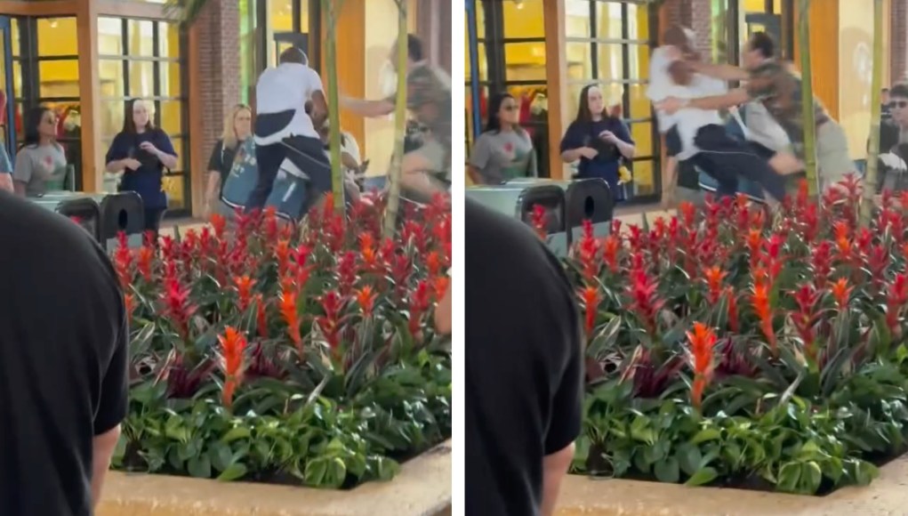 WATCH: Man Forcefully Shoved During Physical Altercation at Disney Springs